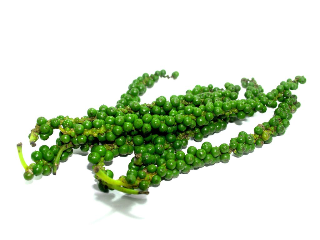 How is Green Pepper Processed and Produced? - Thottam Farm Fresh